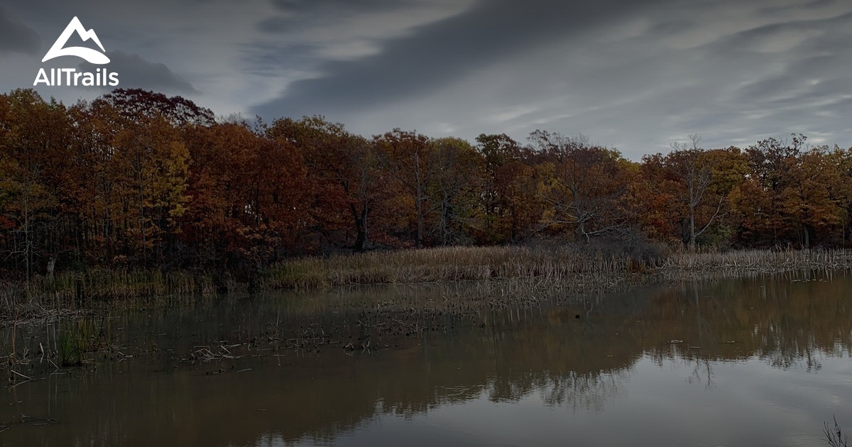 Best hikes and trails in Selkirk Provincial Park | AllTrails