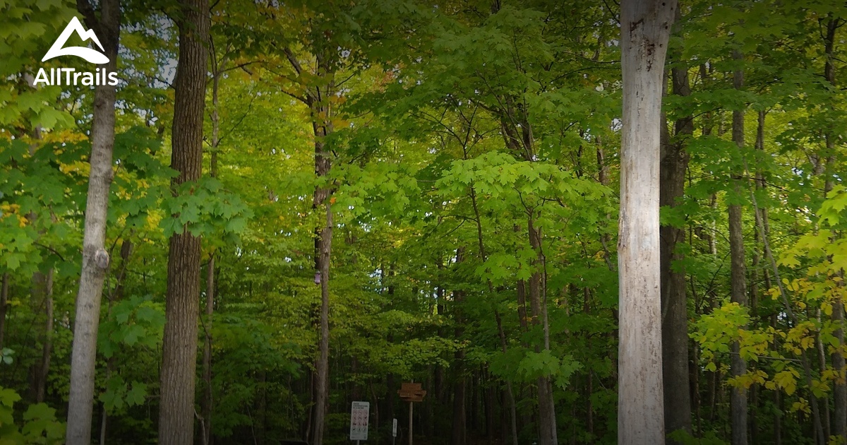 Best easy trails in Centre d'Interprétation de la nature | AllTrails