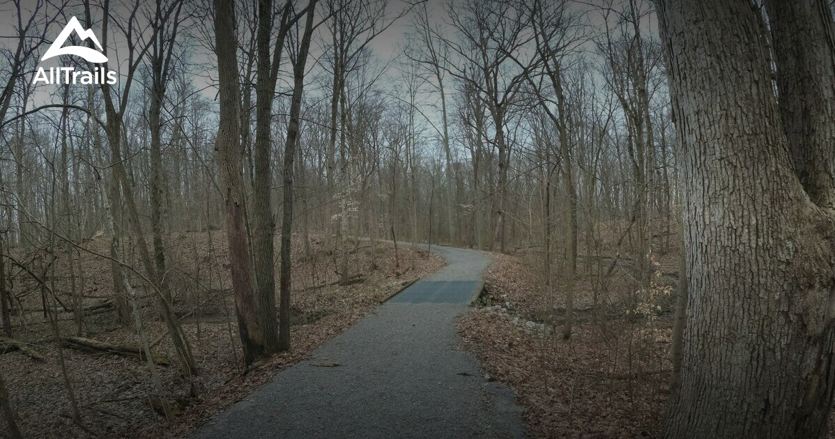 Best walking trails in Litzenberg Memorial Woods | AllTrails