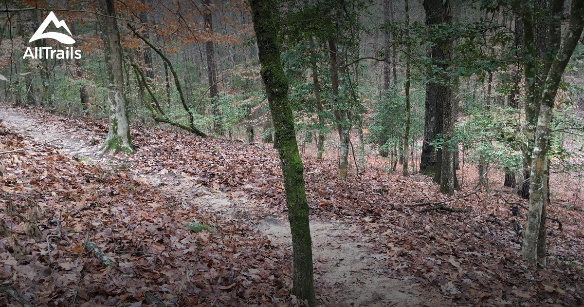 Best hikes and trails in Poison Springs Battleground State Park | AllTrails