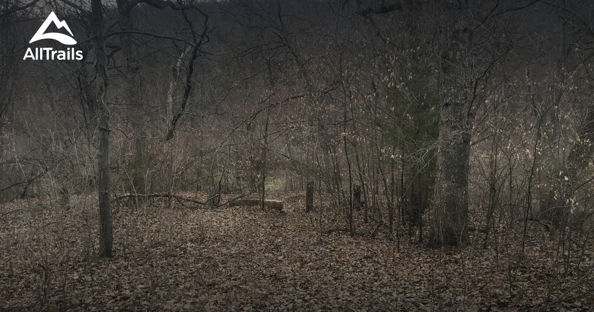 Best hikes and trails in Martin Park | AllTrails