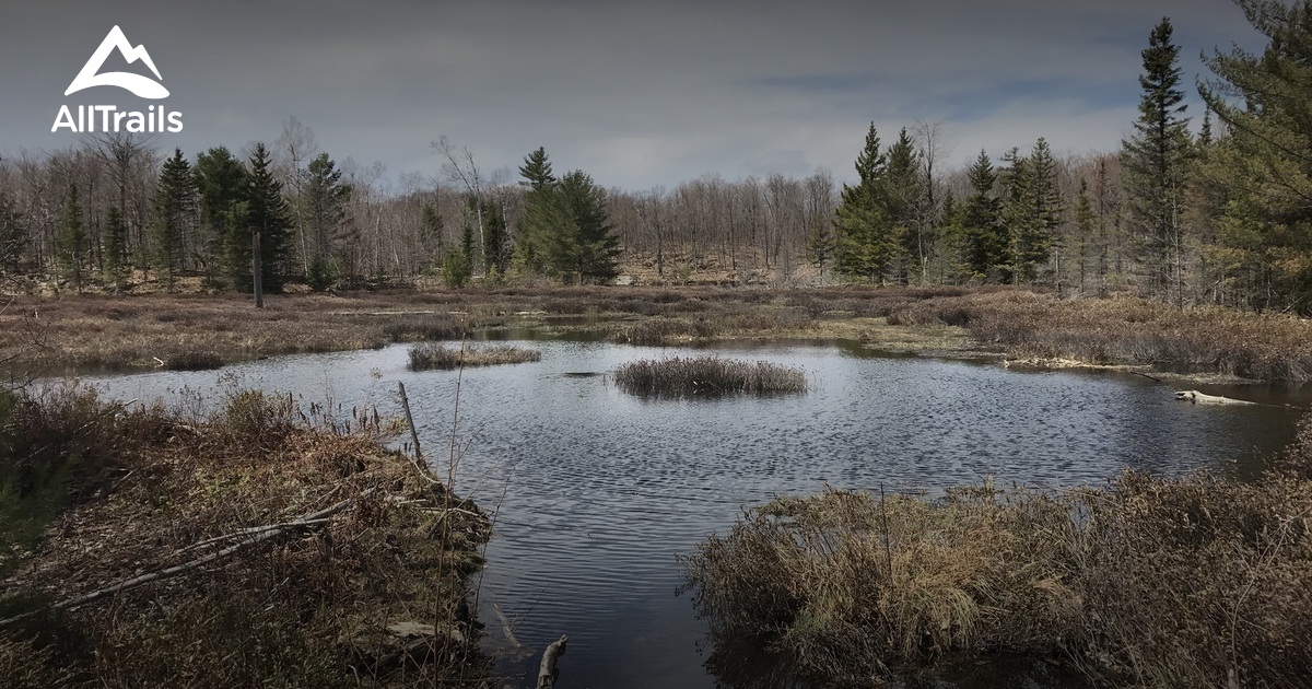 10 Best hikes and trails in Parc de la Gatineau | AllTrails