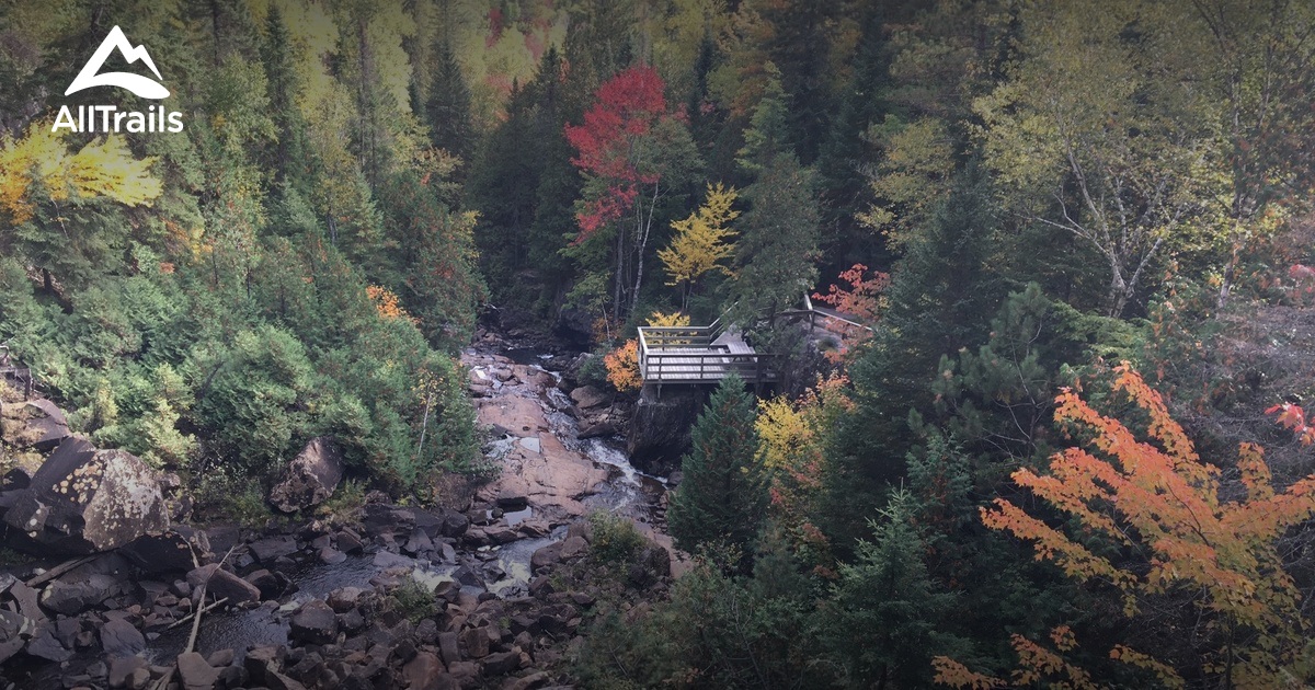 Best forest trails in Chute-à-Bull Regional Park | AllTrails