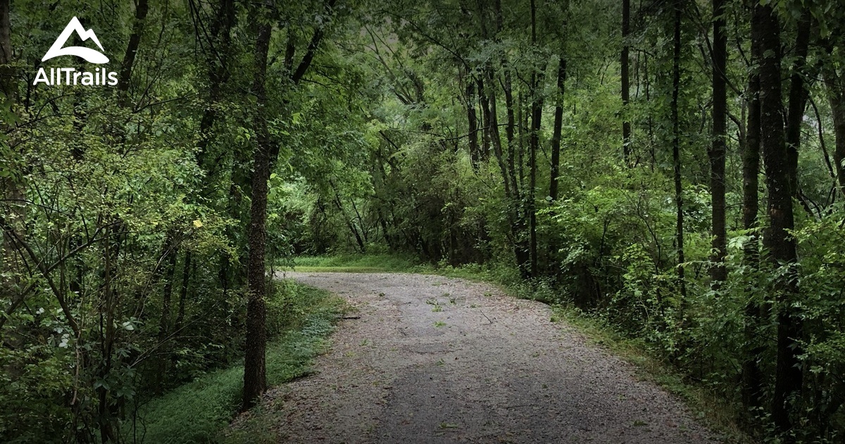 Best hikes and trails in TVA Big Ridge Small Wild Area | AllTrails