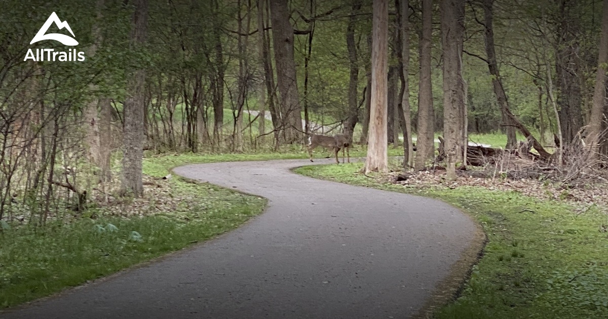 Best hikes and trails in Lisbon Park | AllTrails