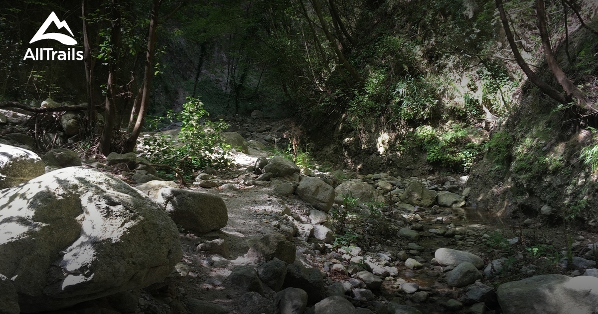 10 Best hikes and trails in Sila National Park | AllTrails