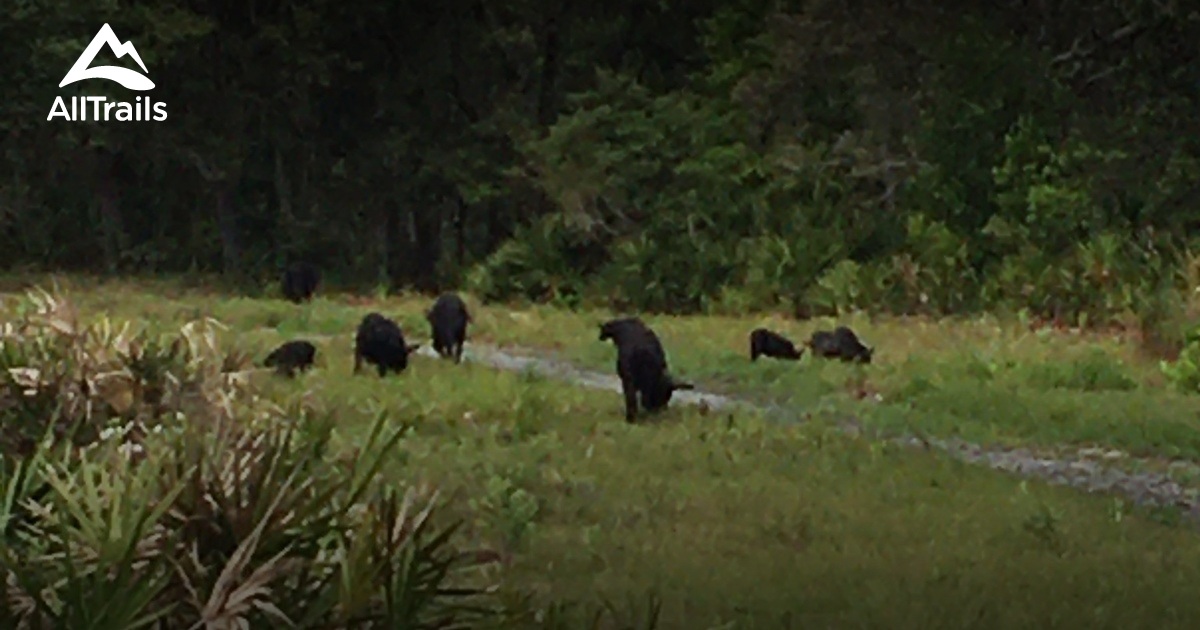 Best bird watching trails in Crooked Lake Wildlife and Environmental ...
