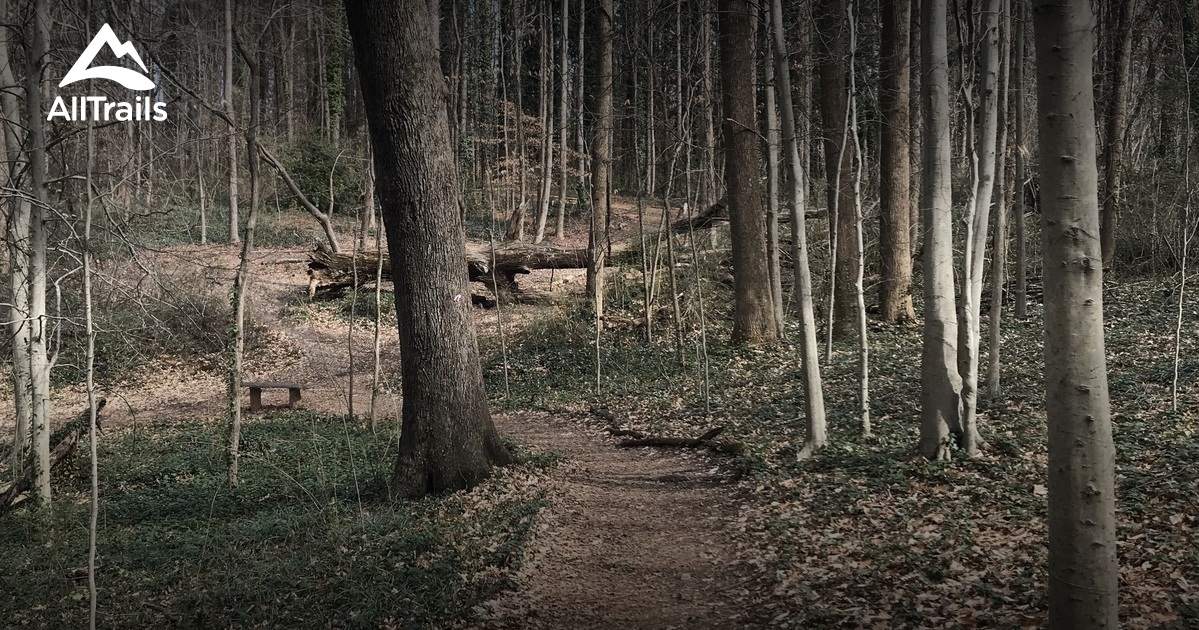 Best hikes and trails in Briarlake Forest Park | AllTrails