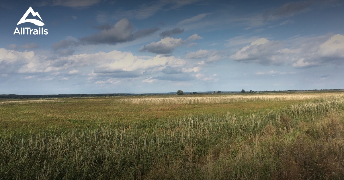 10 Best hikes and trails in Ujście Warty National Park | AllTrails