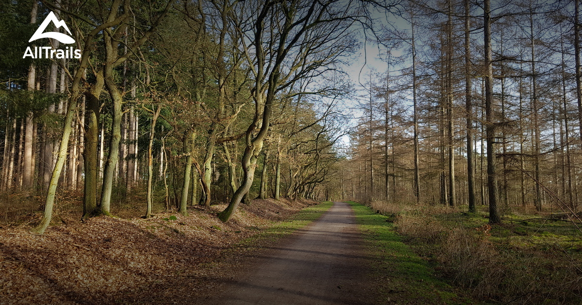 10 Best hikes and trails in Utrechtse Heuvelrug National Park | AllTrails