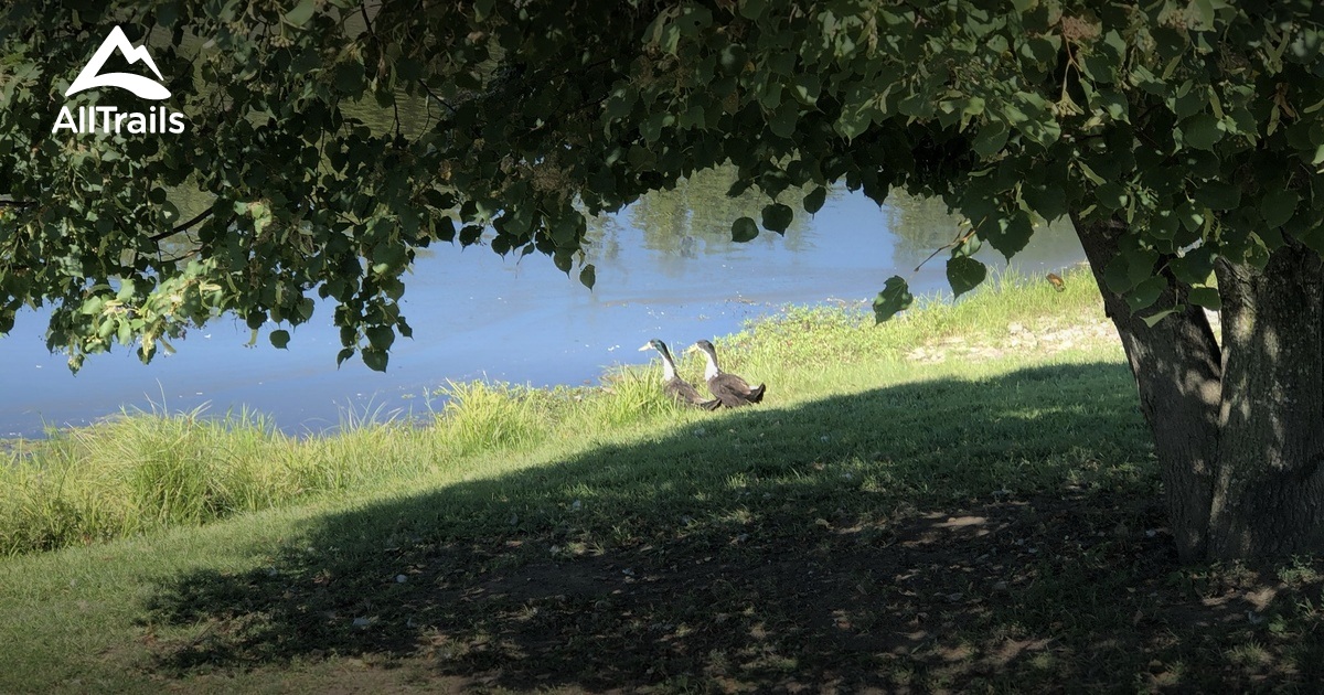 Los mejores senderos fácilesen Lion's Lake/ Culp Park | AllTrails
