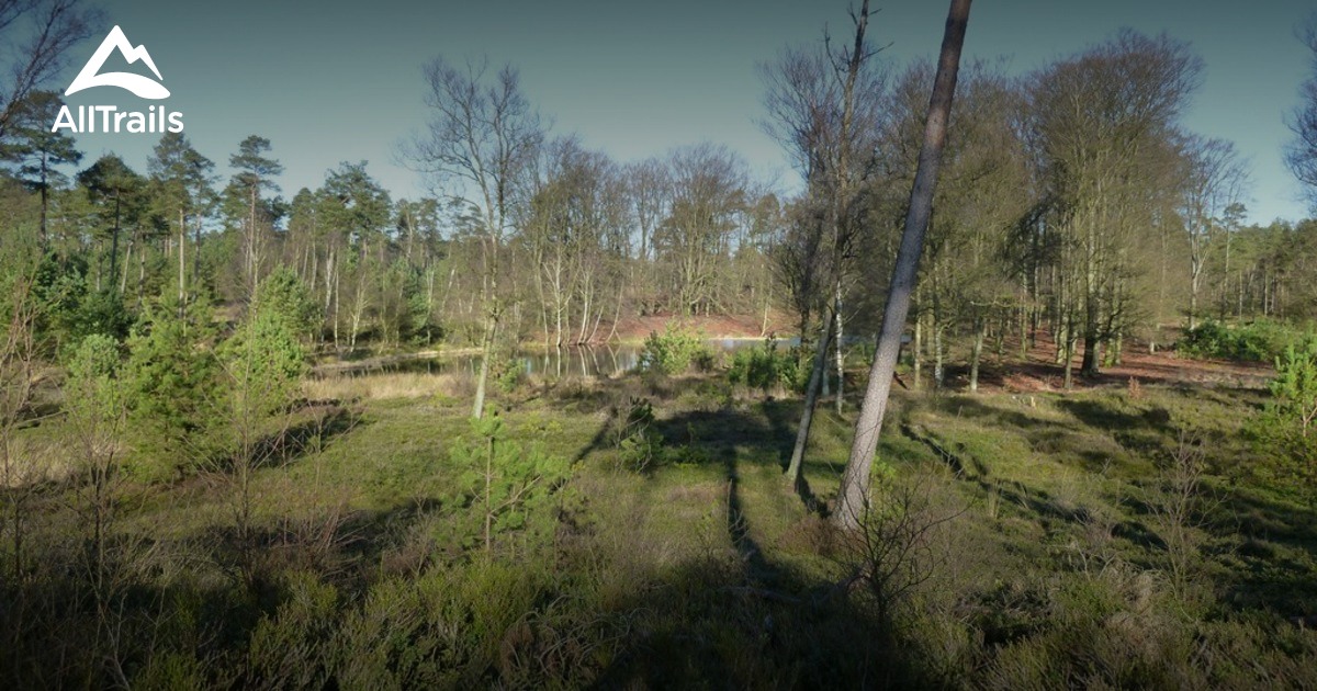 Kroondomein het Loo: de 10 beste routes om te wandelen | AllTrails