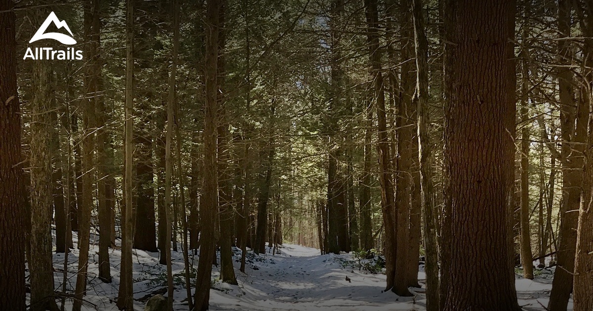 Best hikes and trails in Lane Conservation Area | AllTrails