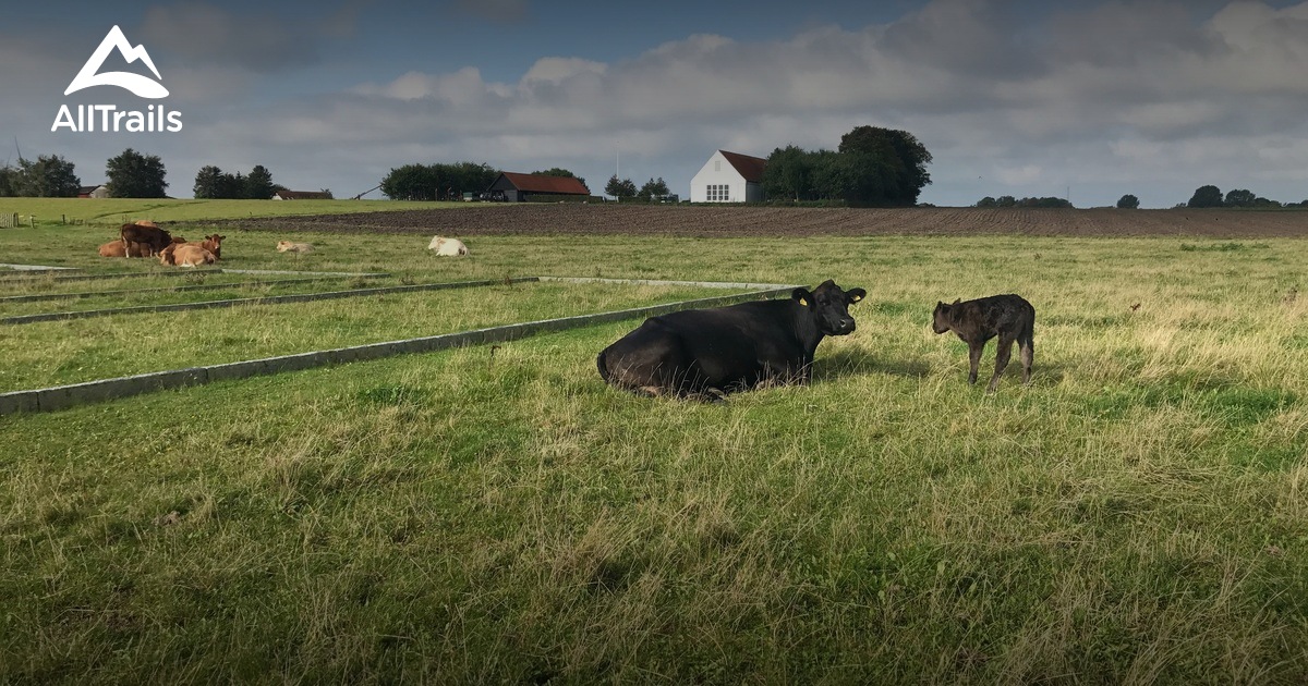 10 Best hikes and trails in Åmosen Nature Park | AllTrails