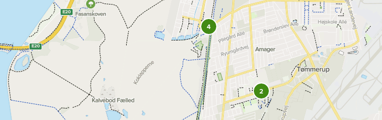 Best 10 Trails in Amager Nature Park | AllTrails