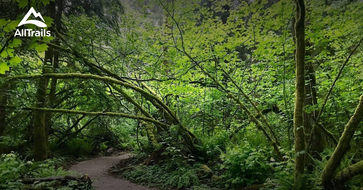 Best Trails in Green Timbers Urban Forest - British Columbia, Canada ...