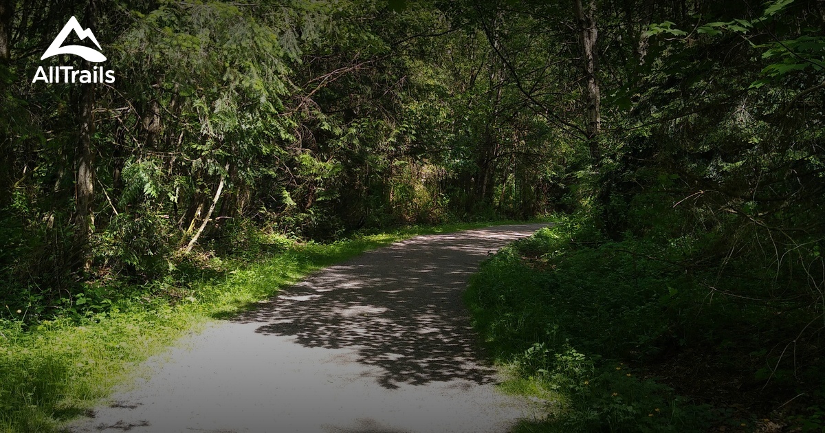 Best walking trails in Green Timbers Urban Forest | AllTrails