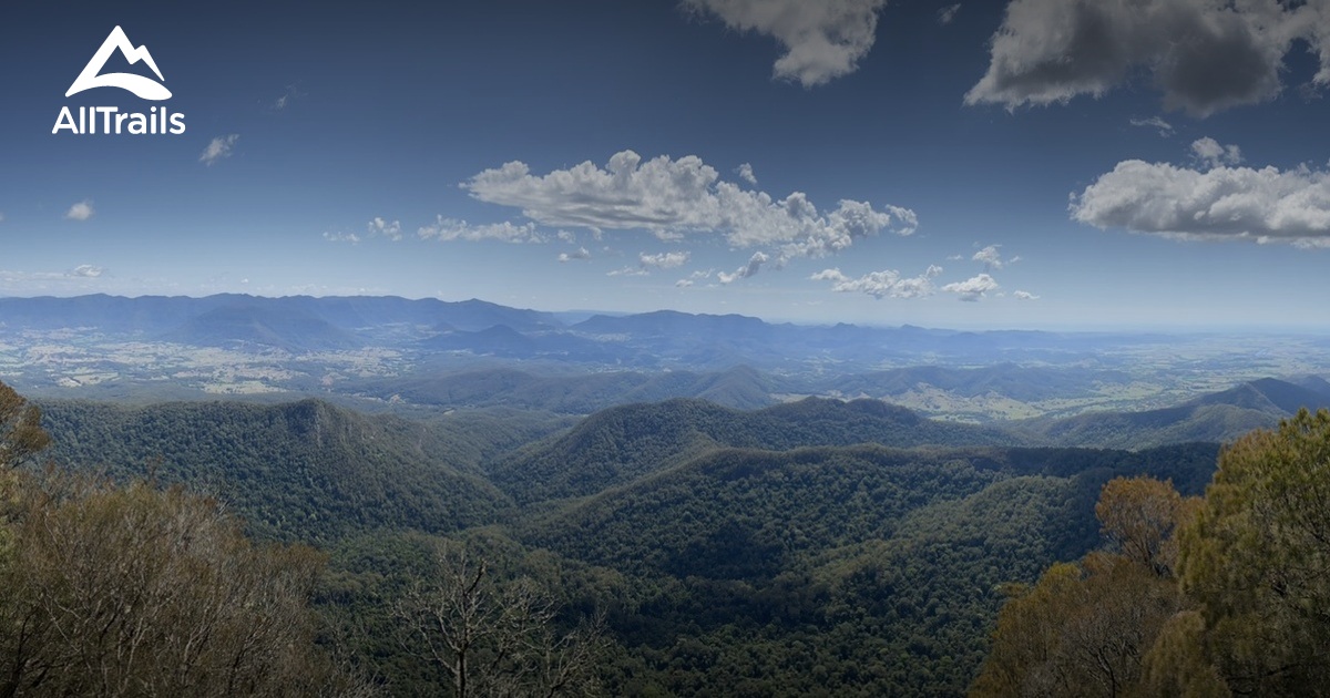 Best bird watching trails in Wollumbin (Mount Warning) National Park ...