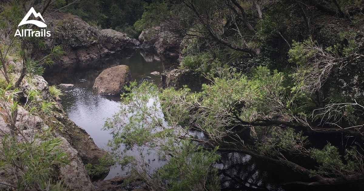 Best Trails in Mapleton Falls National Park - Queensland, Australia ...