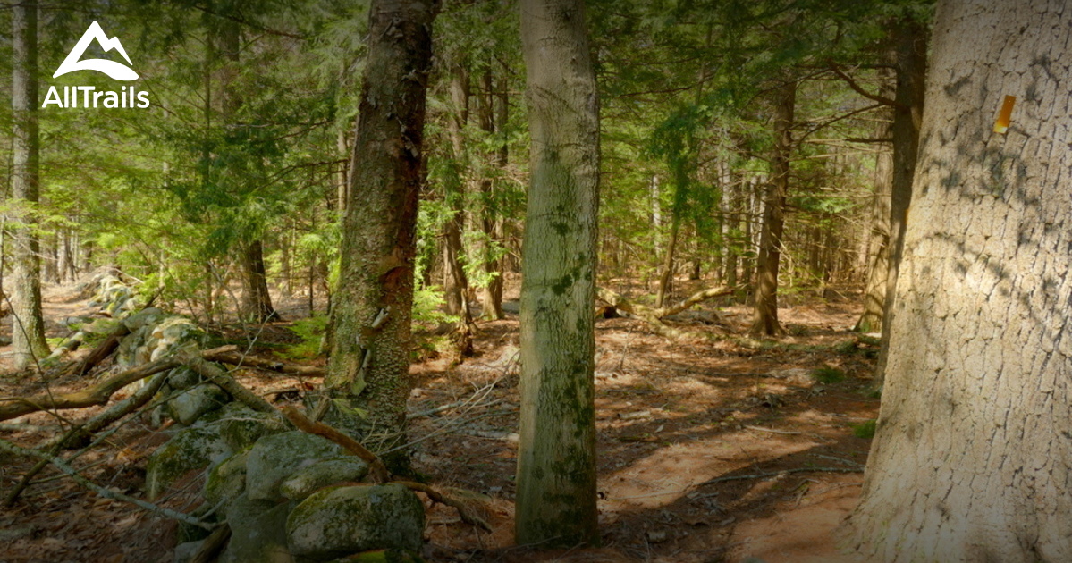 Best hikes and trails in Open Land 1 | AllTrails