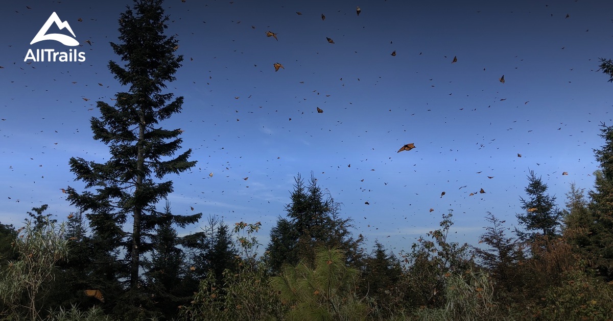 Best moderate trails in Monarch Butterfly Biosphere Reserve | AllTrails