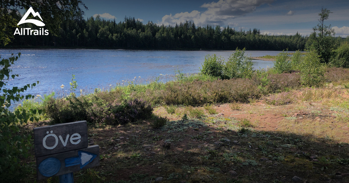 Best kid-friendly trails in Alderängarna Nature Reserve | AllTrails