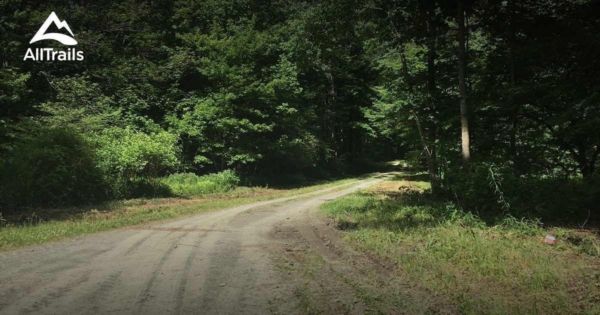 Taylor Valley State Forest : les meilleures randonnées longues | AllTrails