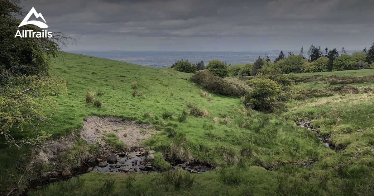 Best Trails in Cruagh, Tibradden & Pine Forest - County Dublin, Ireland ...