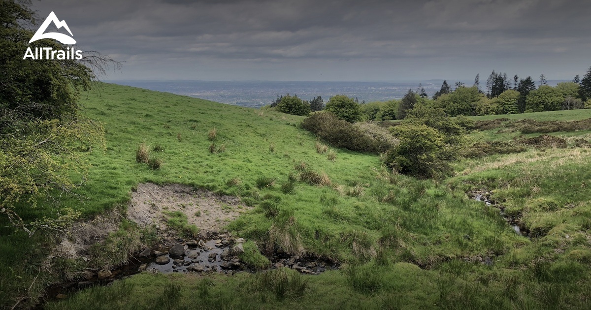 Best hikes and trails in Cruagh, Tibradden & Pine Forest | AllTrails
