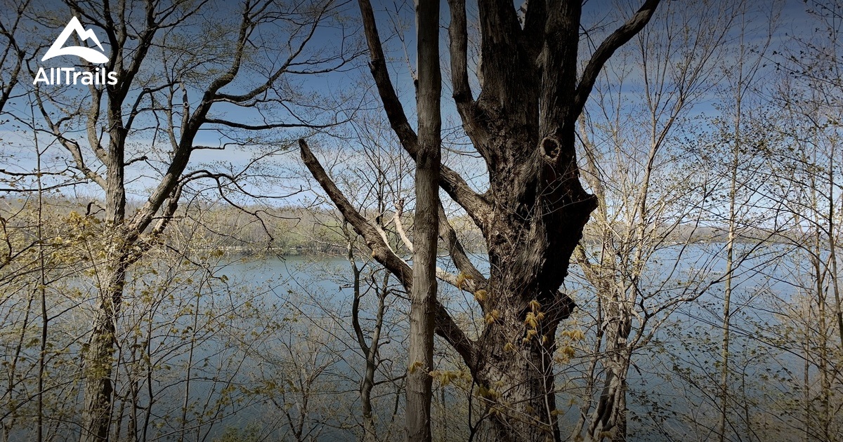 Best hikes and trails in Scott Park | AllTrails