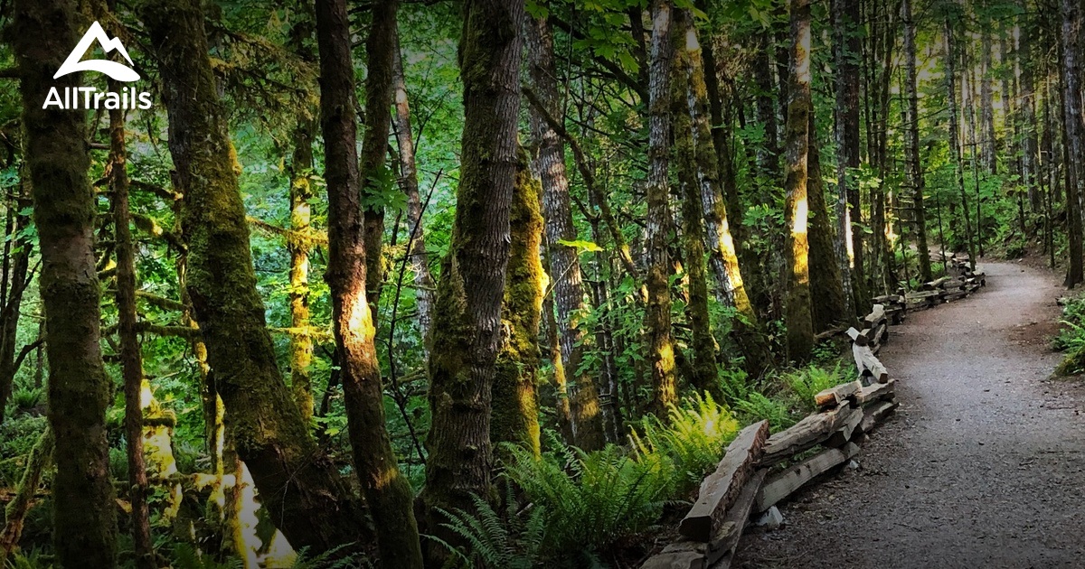 Best hikes and trails in Latoria Creek Park | AllTrails