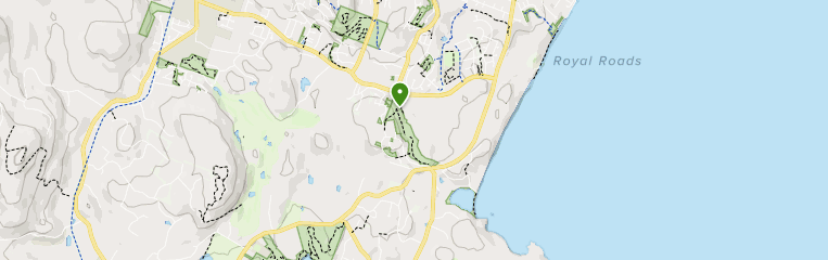 Best Hikes and Trails in Latoria Creek Park | AllTrails