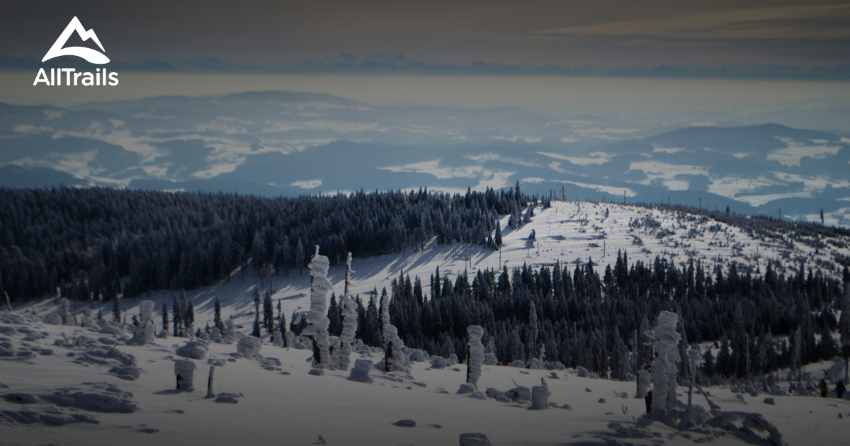 10 Best hikes and trails in Šumava National Park | AllTrails