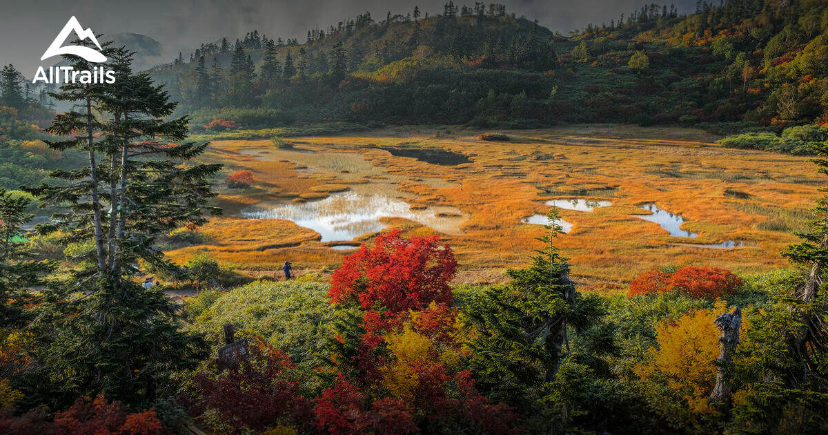 Best trail running trails in Myoko Togakushi Renzan National Park ...