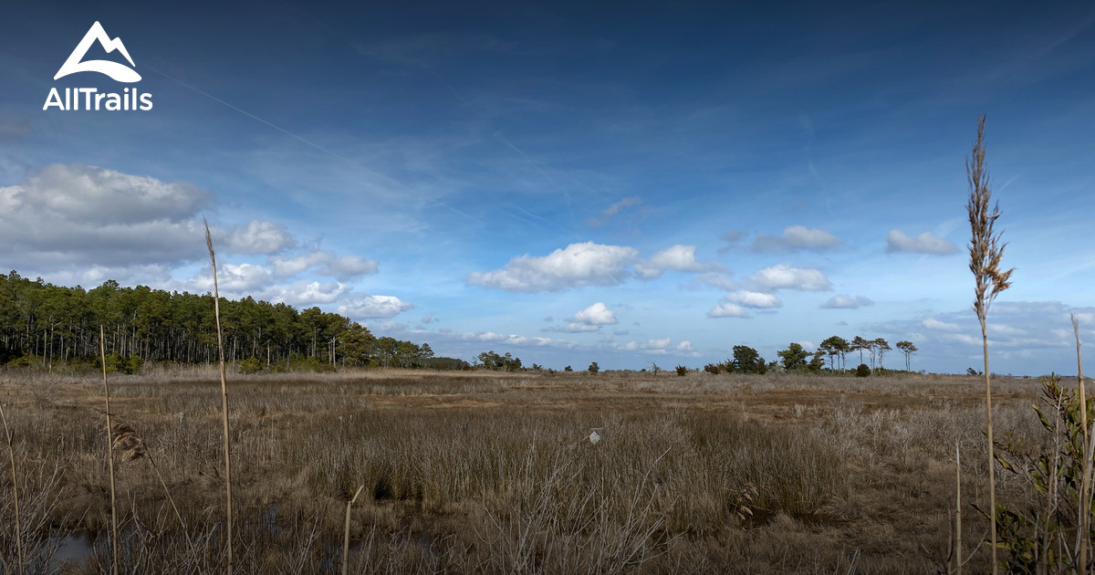 Best hikes and trails in Magothy Bay Natural Area Reserve | AllTrails