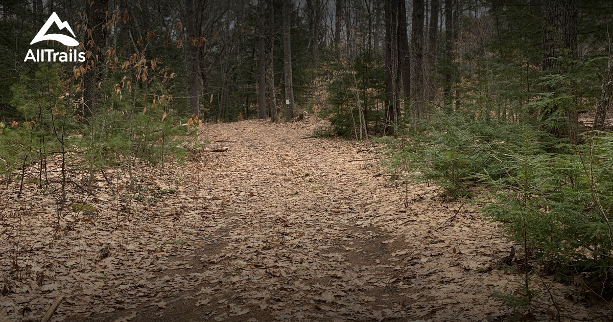 Best hikes and trails in Dowst Cate Town Forest | AllTrails
