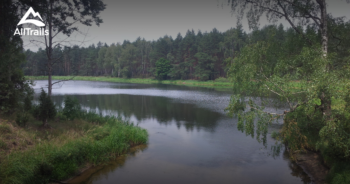 Best hikes and trails in Tuchola Landscape Park | AllTrails