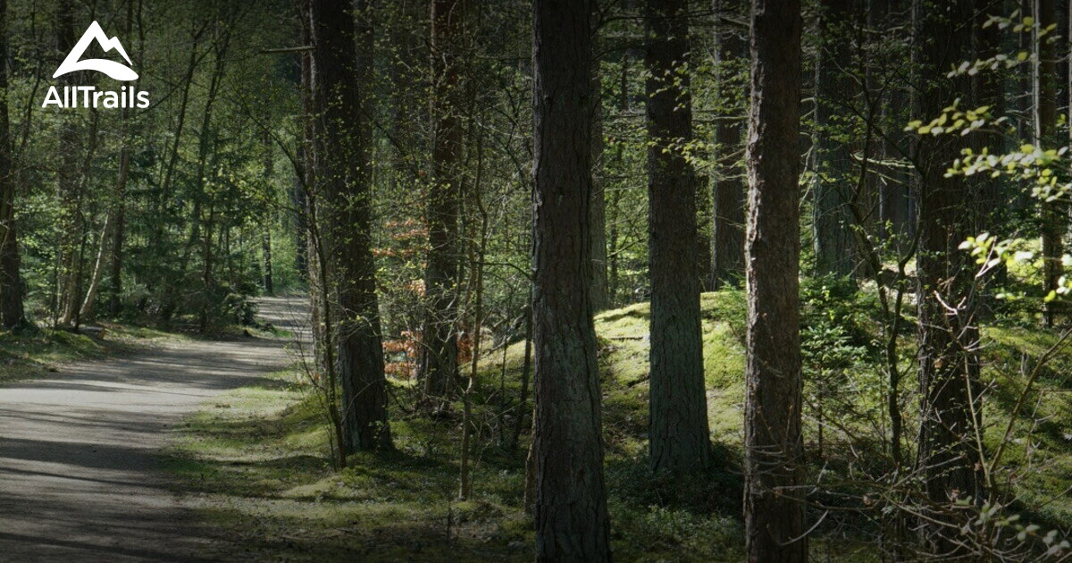 Melhores trilhos para observação de aves em Ängelholms Strandskog ...