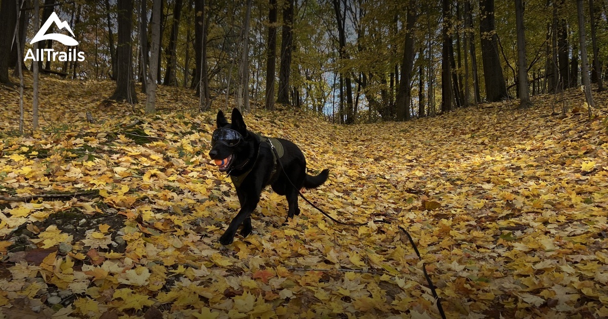 Best hikes and trails in Red Mill County Park | AllTrails