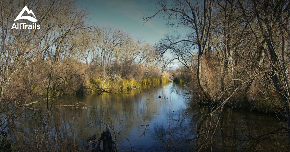 Best short trails in Shadow Cliffs Regional Recreation Area | AllTrails