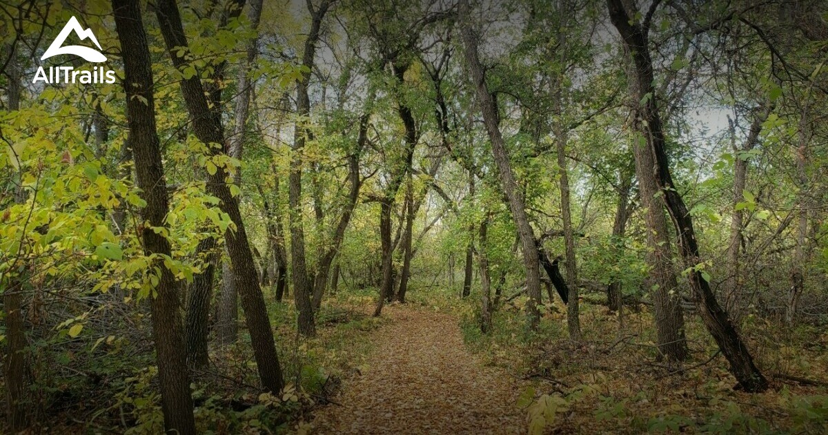 Best hikes and trails in Lundar Beach Provincial Park | AllTrails