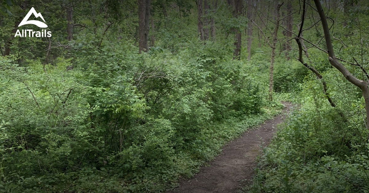 Best hikes and trails in Ithan Valley Park | AllTrails
