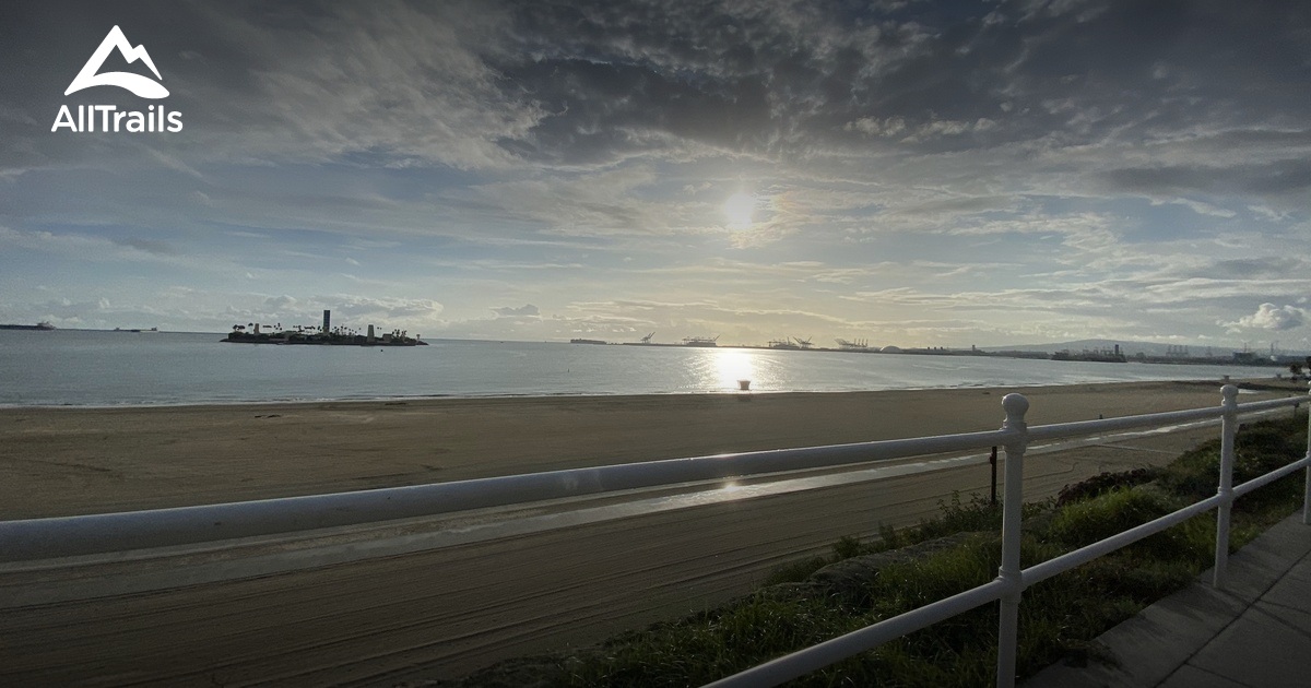 Best hikes and trails in Bluff Park | AllTrails