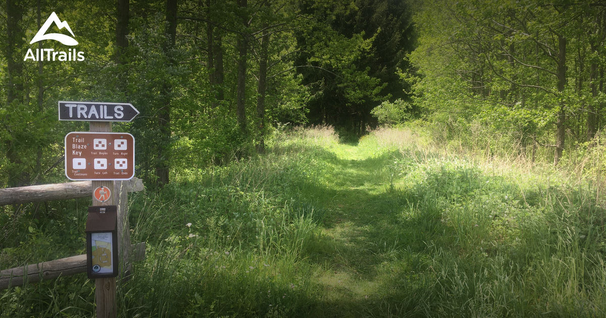 Best hikes and trails in Scotts Corner Conservation Area | AllTrails