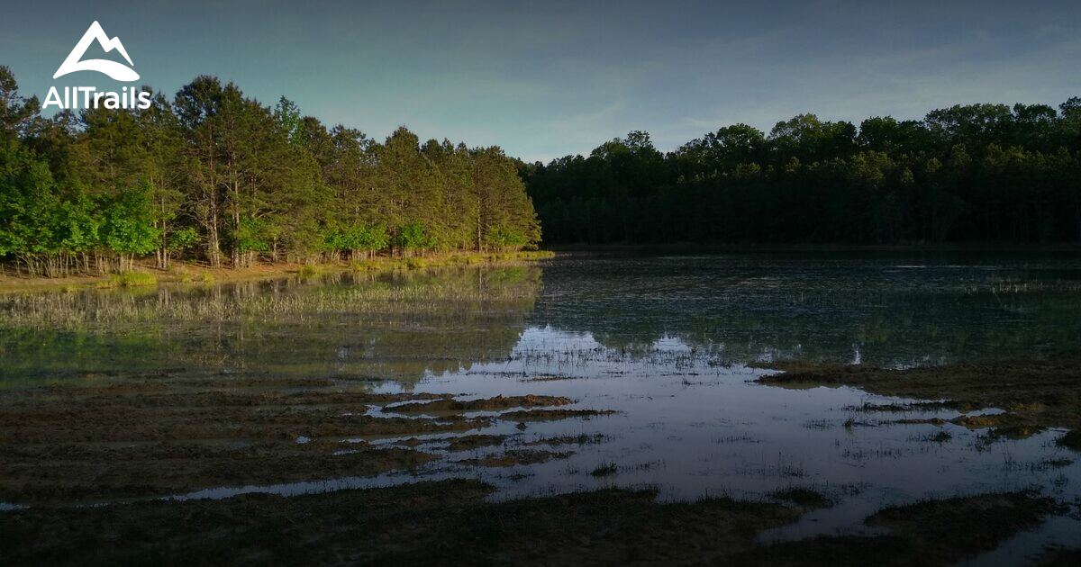 Best hikes and trails in Cedar Lake WMA | AllTrails