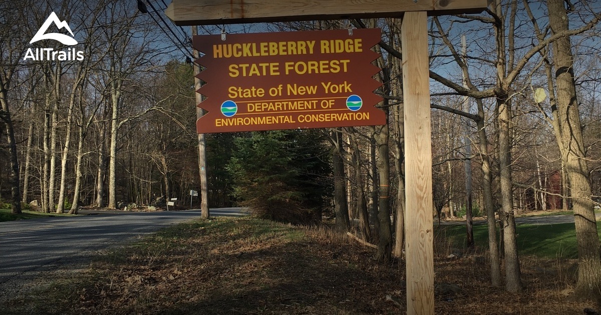 Best hikes and trails in Huckleberry Ridge State Forest | AllTrails