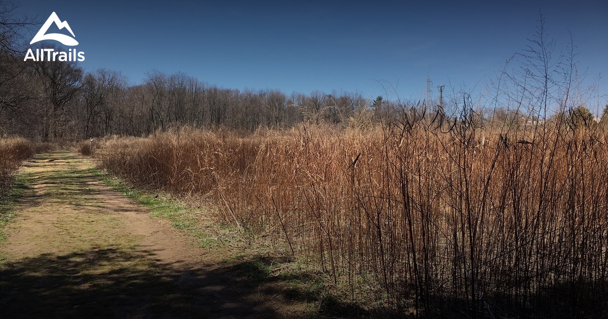 Best hikes and trails in Helyar Woods | AllTrails