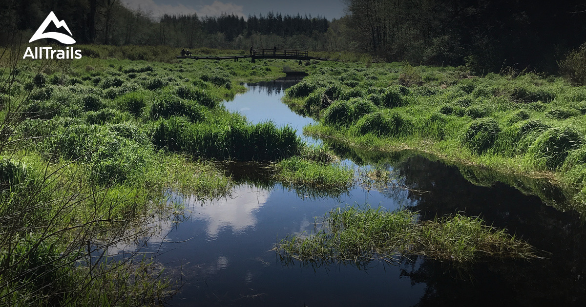 10 Best hikes and trails in Campbell Valley Regional Park | AllTrails