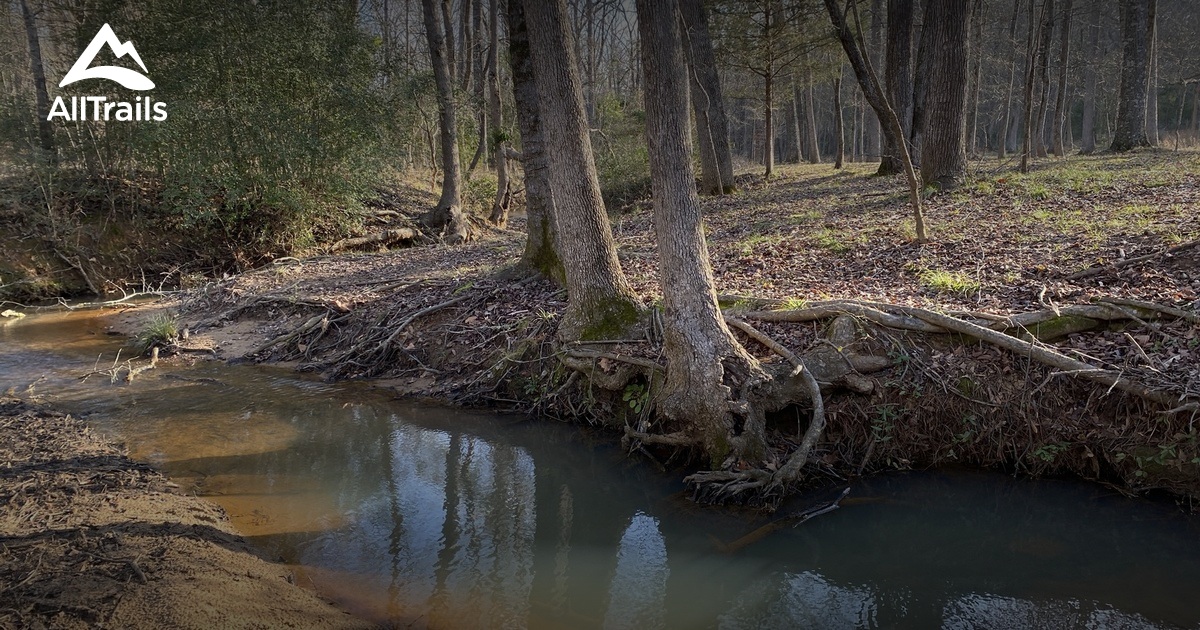 Best walking trails in Davey Dogwood Park | AllTrails