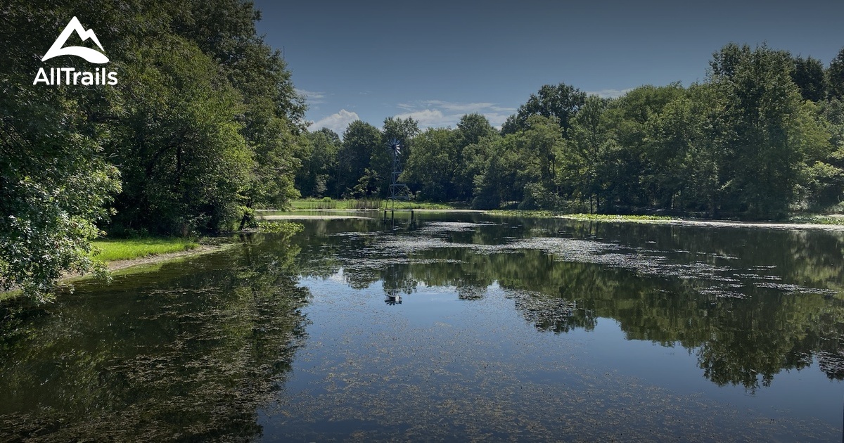 Best hikes and trails in Rogers State University Nature Reserve | AllTrails